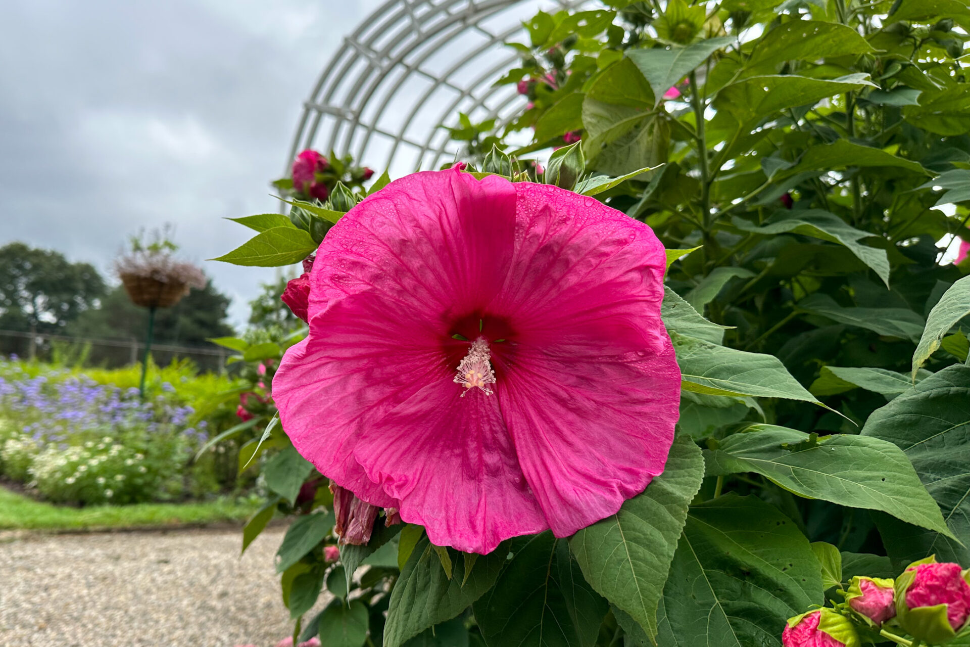 Applewood - Ruth Mott Foundation